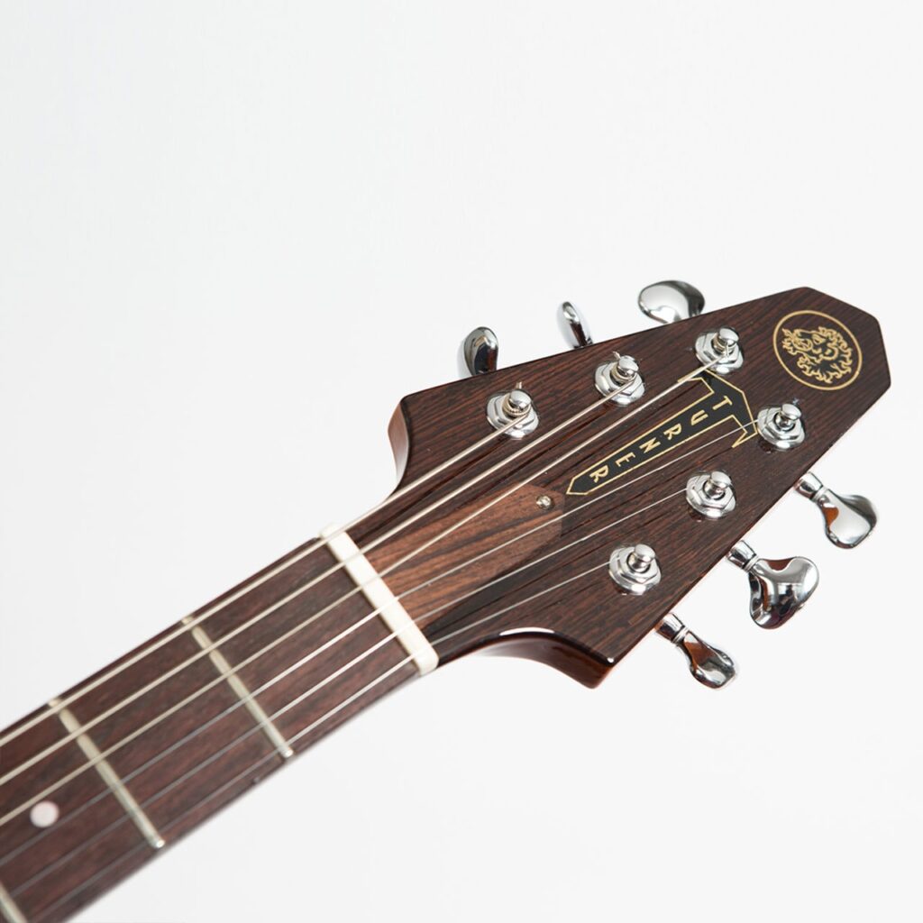 The Model T – Rick Turner Guitars