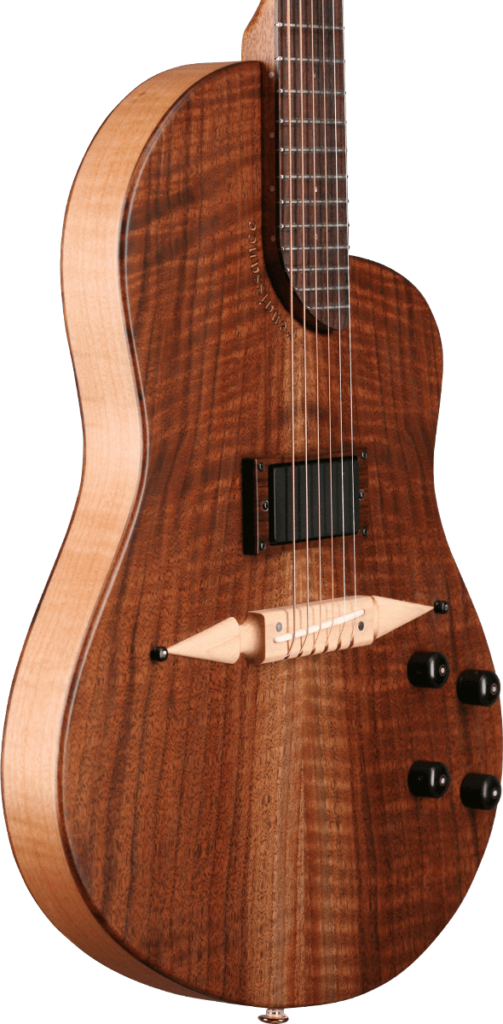 Renaissance Deuce – Rick Turner Guitars